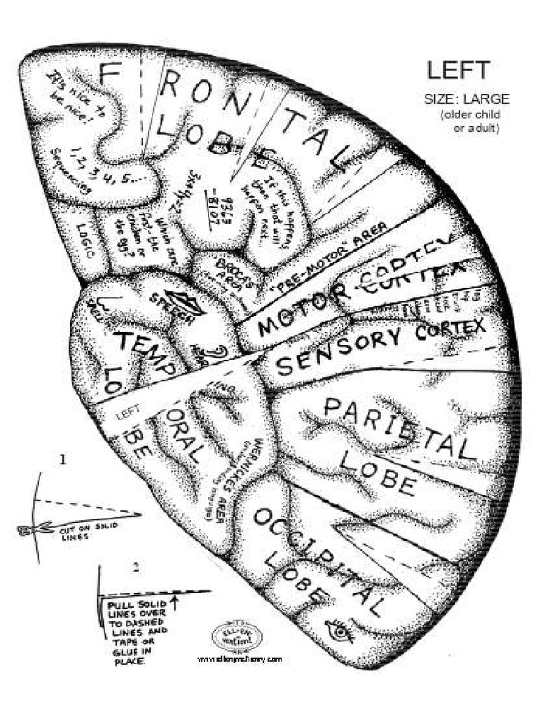 Costat Esquerra | PDF