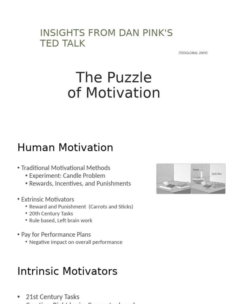 Understanding Motivation: Insights from Dan Pink | PDF