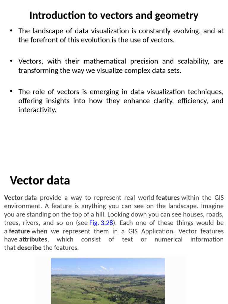 Introduction To Vectors and Geometry | PDF | Magnetic Field | Force