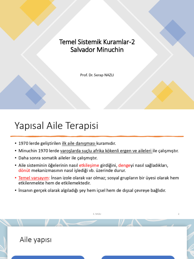Sunu-5 Temel Kuramlar (Minuchin) | PDF