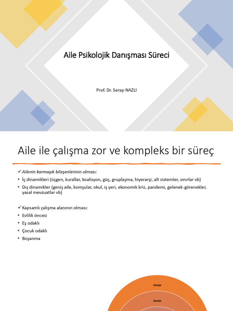 Sunu 10 Aile DSYM | PDF