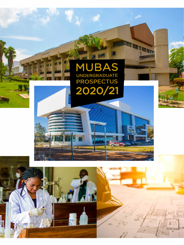 Mubas Prospectus | PDF | Engineering | Science