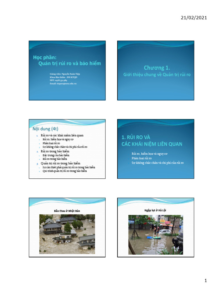 Quan Ly Rui Ro Va Bao Hiem C1 Gioi Thieu Ve QTRR | PDF