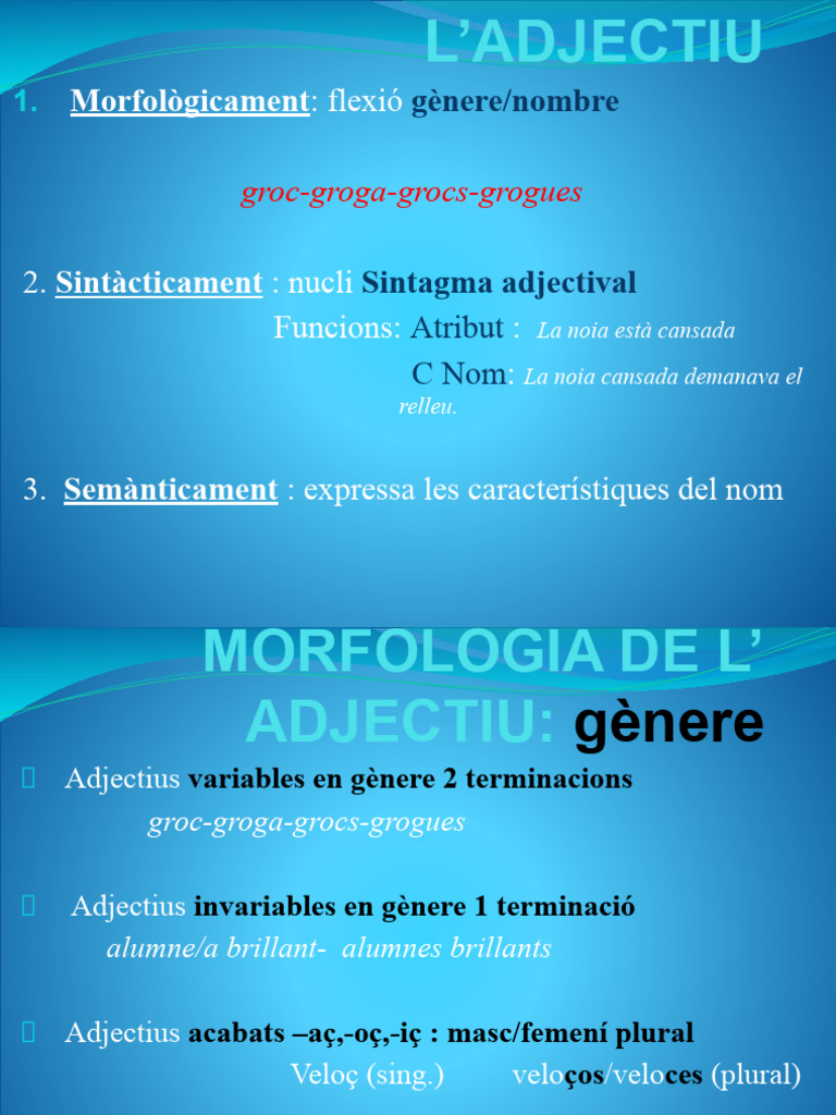 L’ADJECTIU- morfologia.pptx | PDF