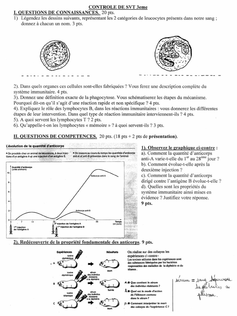 Evaluation Sommative 2 | PDF