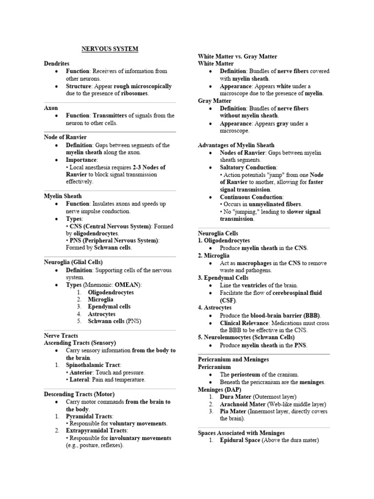Nervous System | PDF | Myelin | Axon