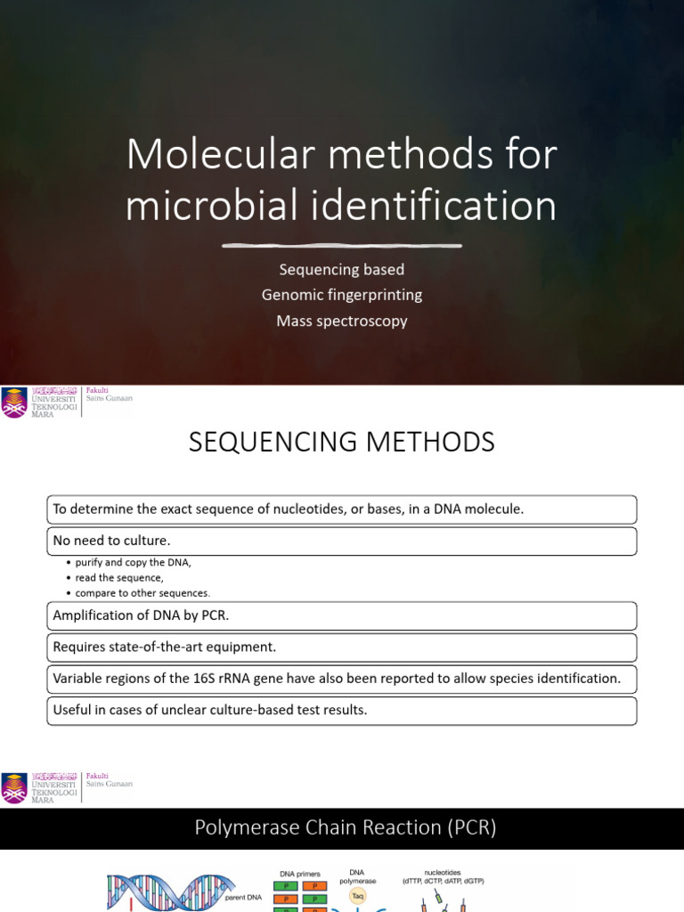 2.3. MICROBIAL IDENTIFICATION MOLECULAR METHODS | PDF | Ribosomal Rna | Rna