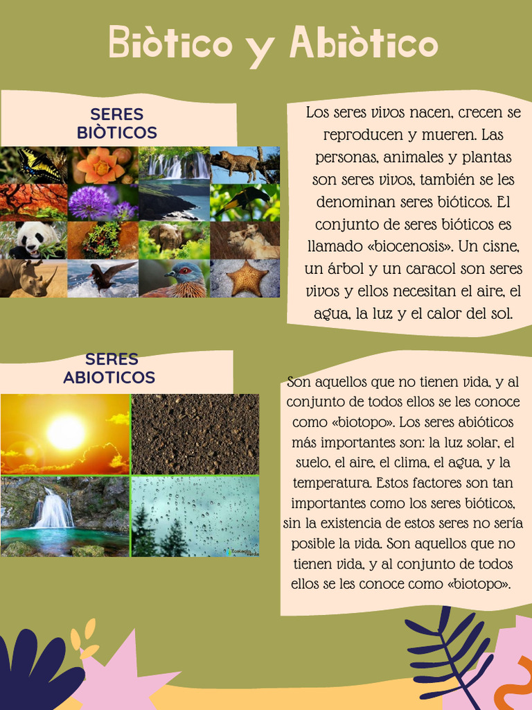 Biotico y abiotico | PDF