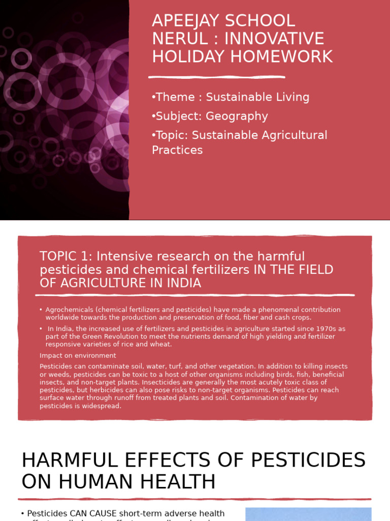 Apeejay School Nerul | PDF