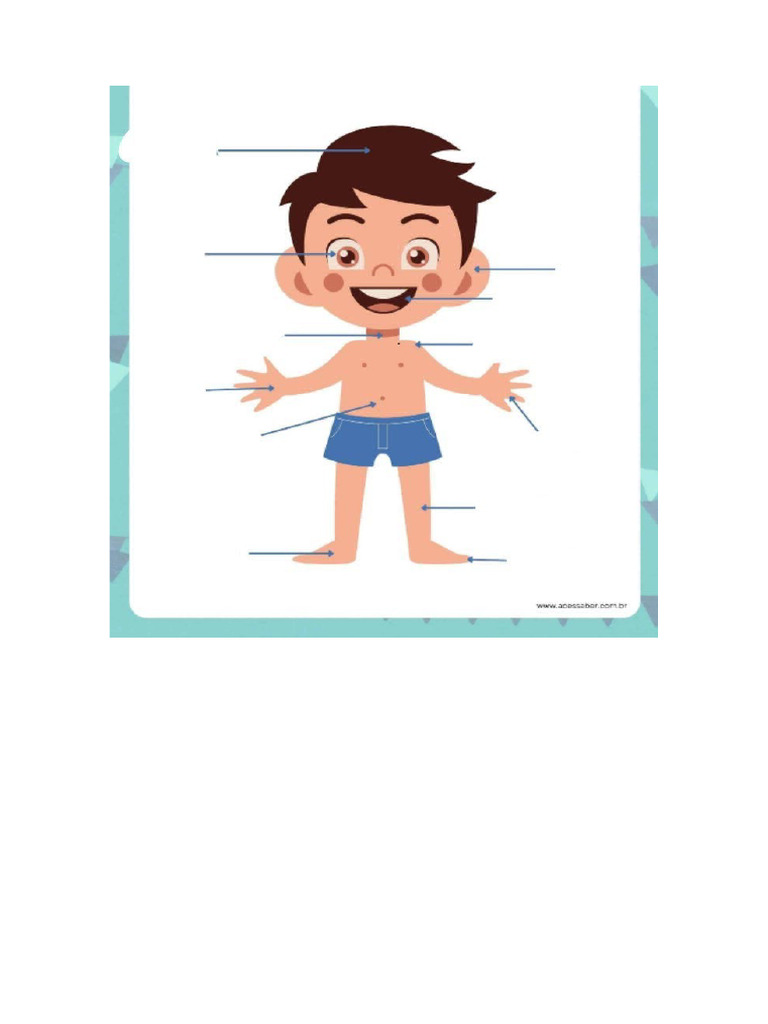 Corpo Human Brachos - Docx2 | PDF