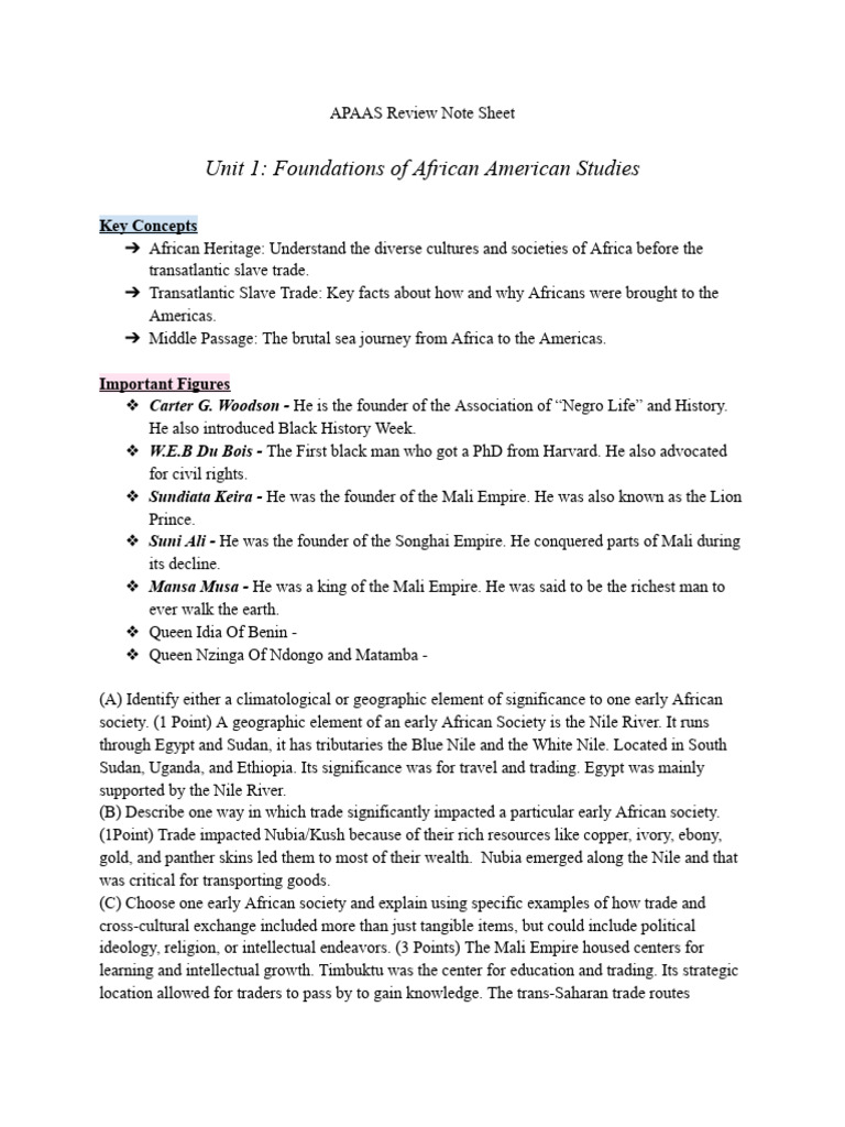 Foundations of African American Studies | PDF | Africa | Mali