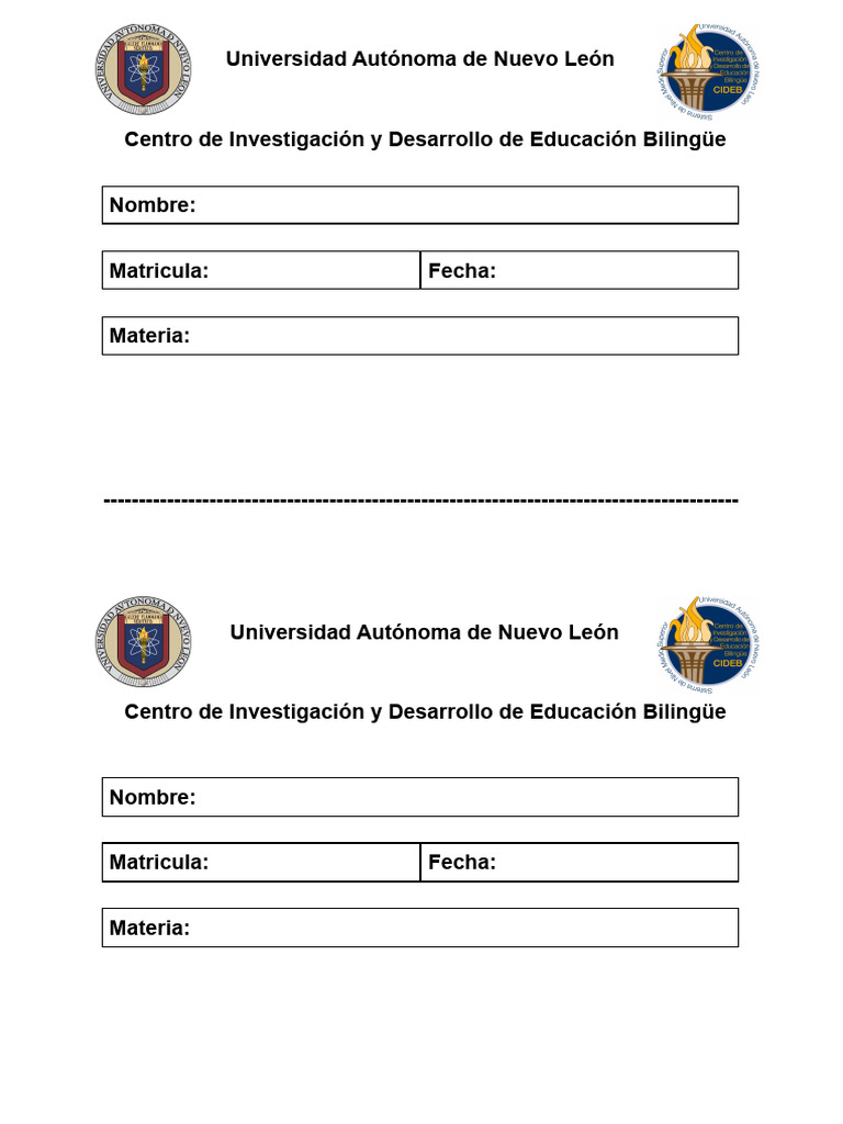 Formato Reciclaje 2023 | PDF