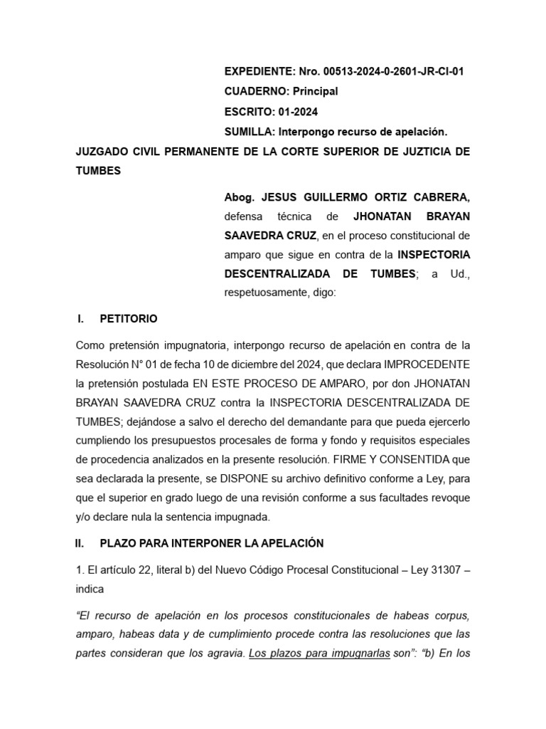 Recurso de Apelacion Jhonatan Brayan Saavedra Cruz | PDF | Apelación | Sentencia (ley)