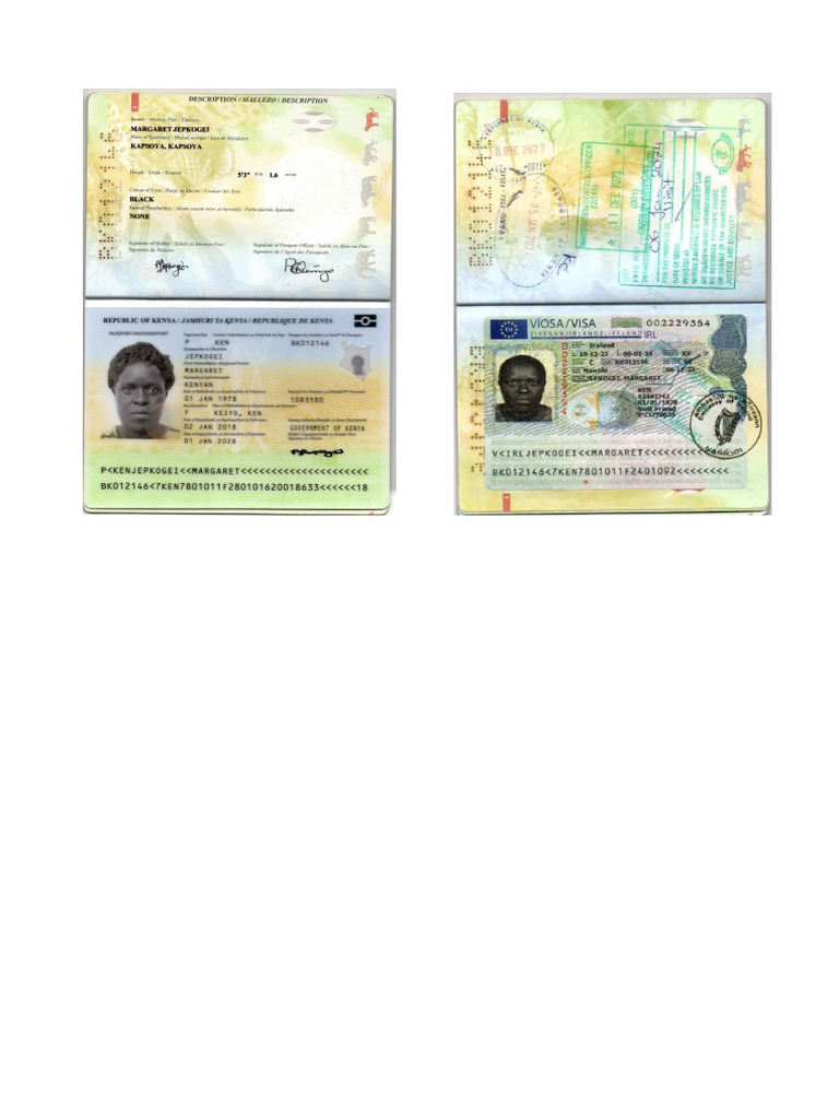 Passport | PDF
