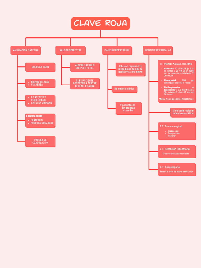 CLAVE Roja | PDF | Especialidades Medicas | Medicina CLINICA