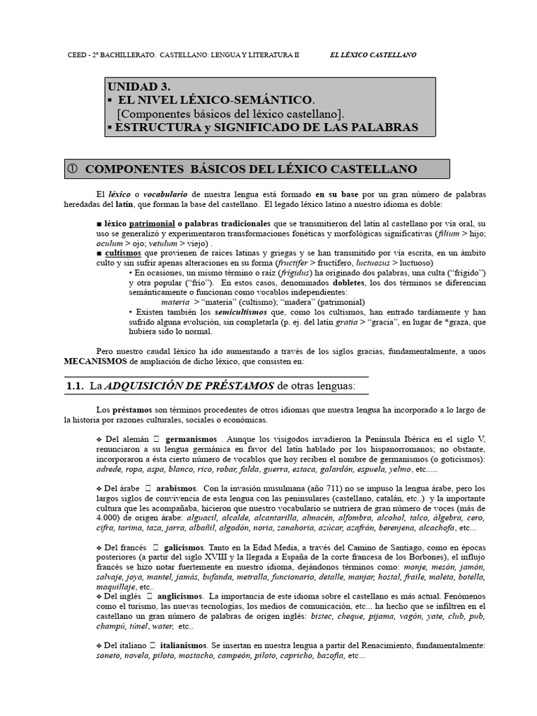 Unidad 3. El Nivel lÃ©xico-semÃ¡ntico. | PDF | Palabra | Numero Gramatical