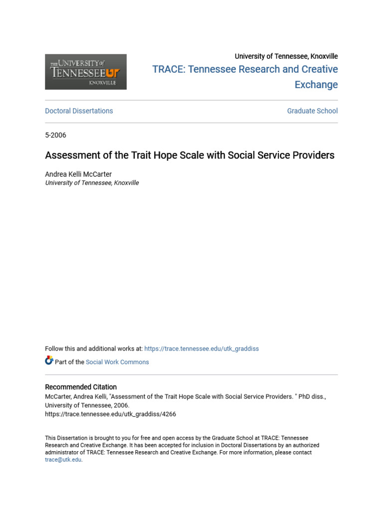 Assessment of the Trait Hope Scale With Social Service Providers | PDF ...