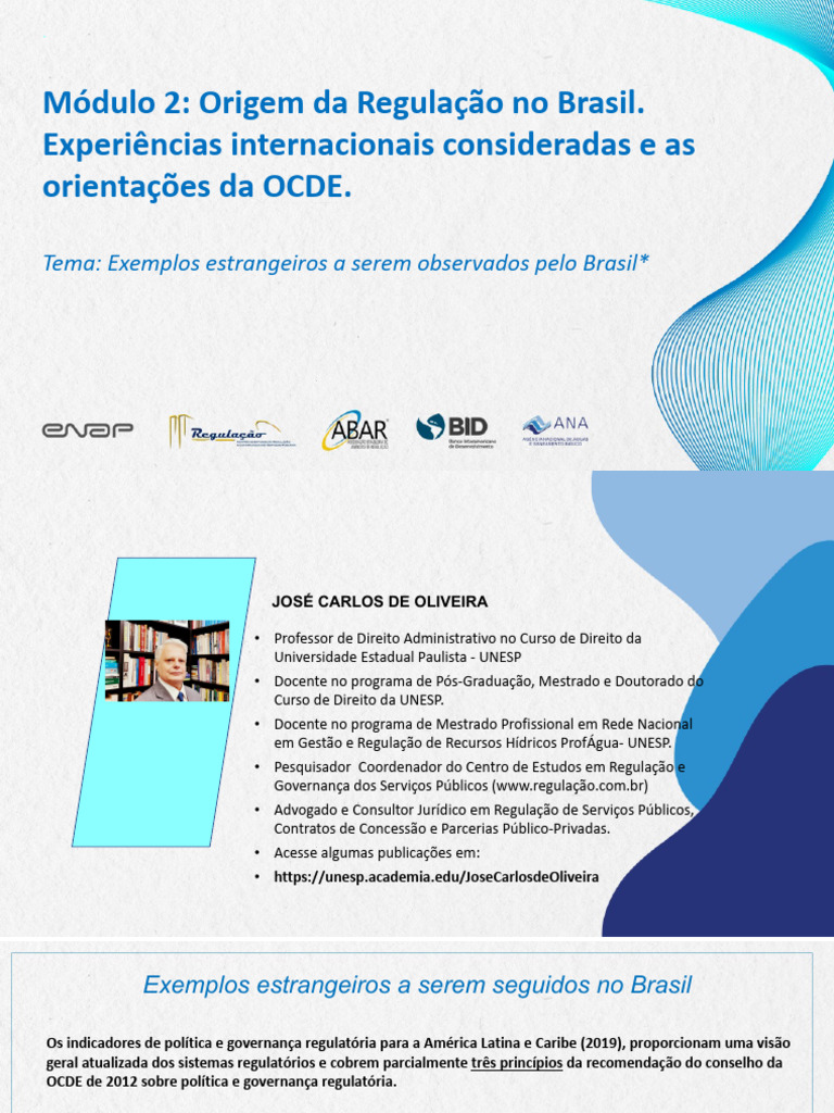 Ponto 4 Exemplos Estrangeiros a Serem Observados Pelo Brasil | PDF