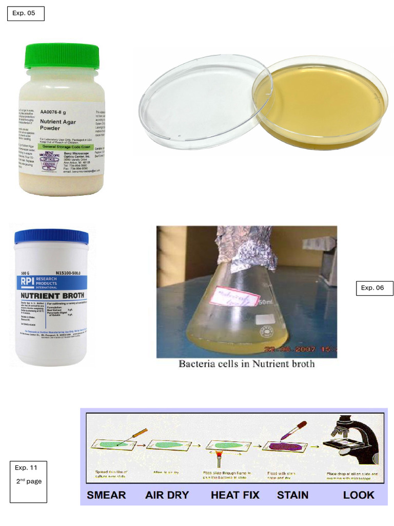 Microbiology Experiments Photos | PDF