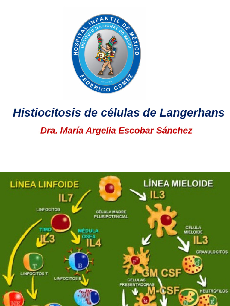 histiocitosis de celulas de langerhans | PDF | Enfermedades y ...