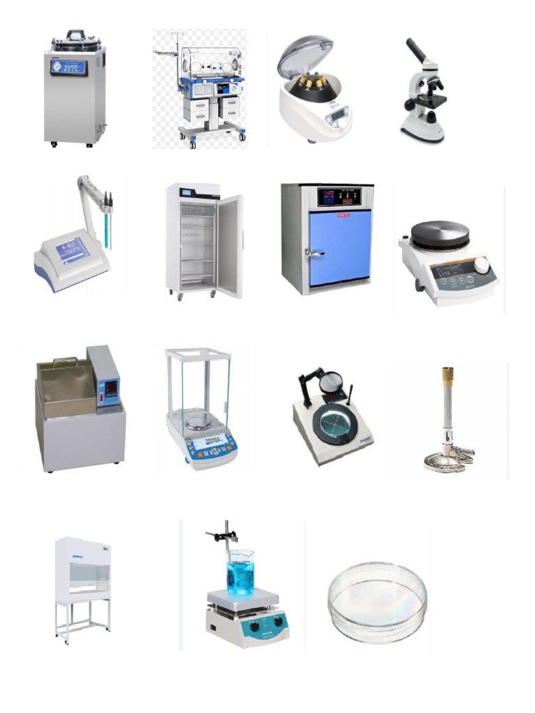 Micro Practical 2 Images | PDF