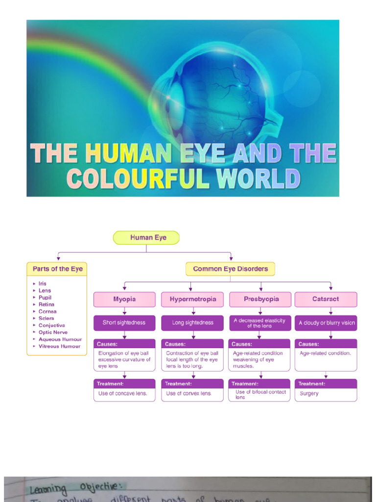 Human Eye and The Colourful World PPT 1 | PDF