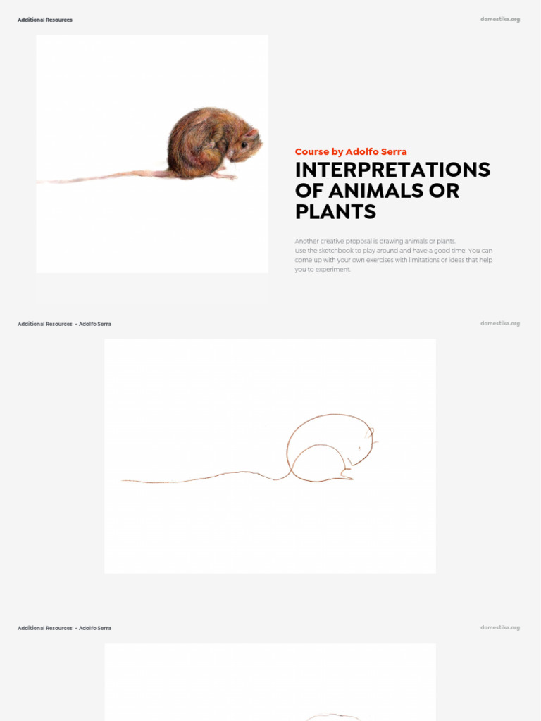Creative Sketching: Animals & Plants | PDF