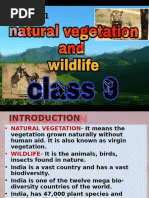 Organic Farming Project Report 2024-25 | PDF | Organic Farming ...