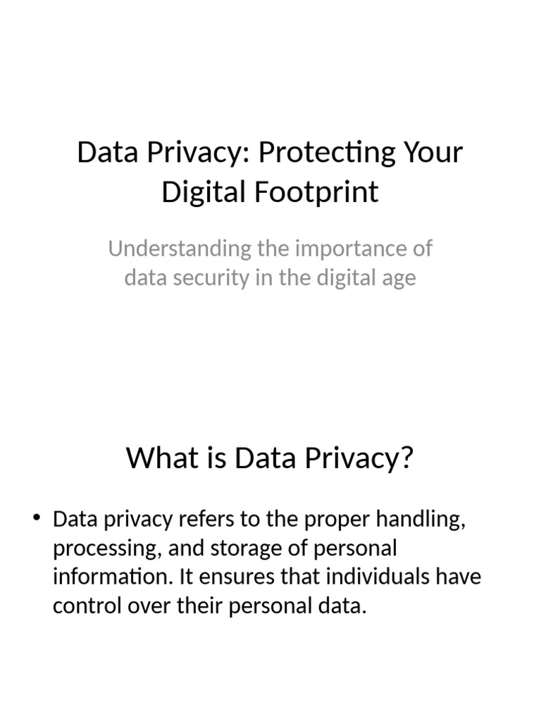Data Privacy Presentation | PDF