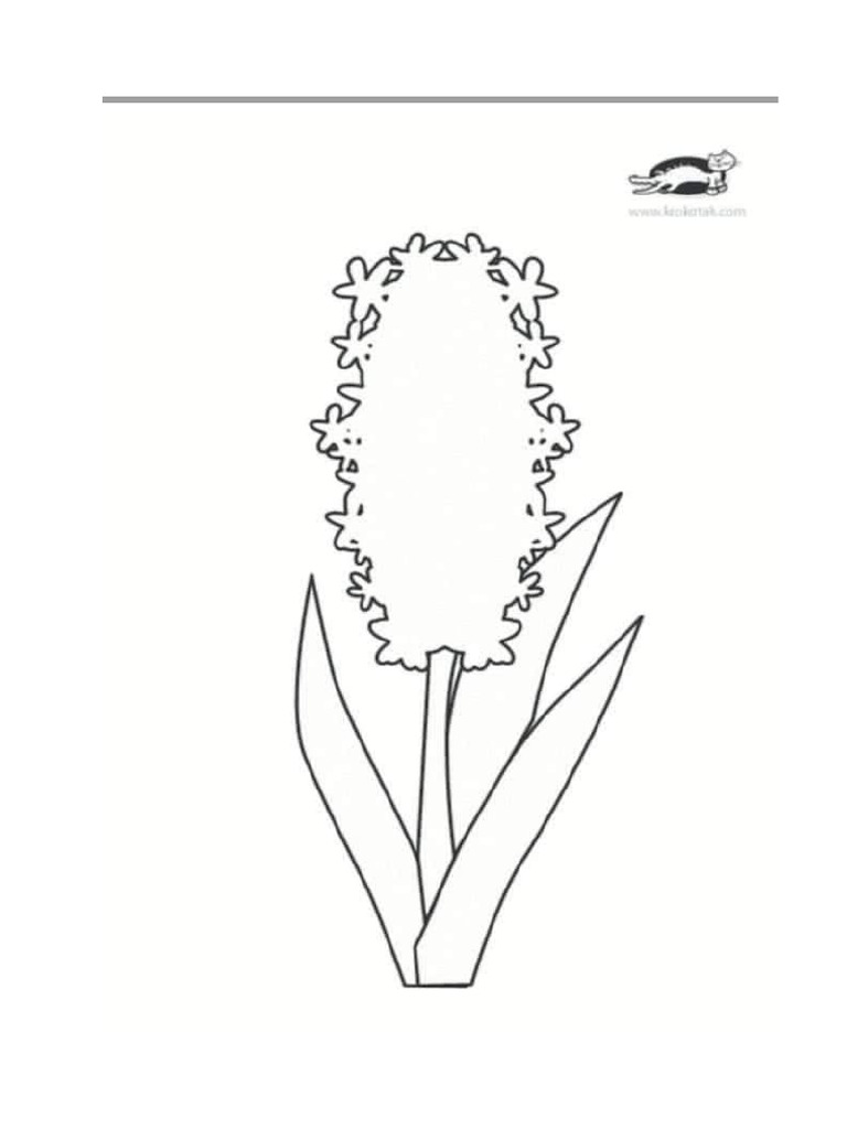 Zambila | PDF