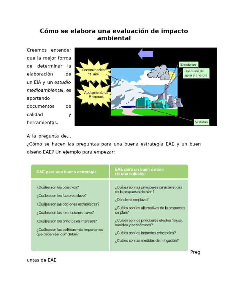 Leccion N4 Pasos para La EIA | PDF