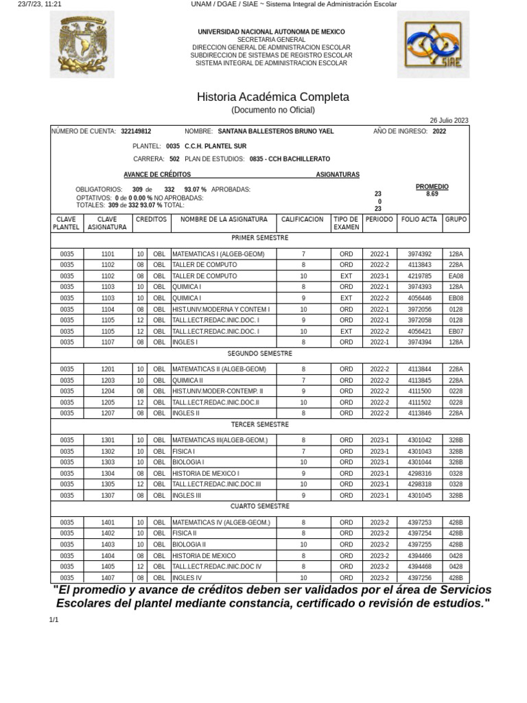 SIAE (Panel de Control) | PDF