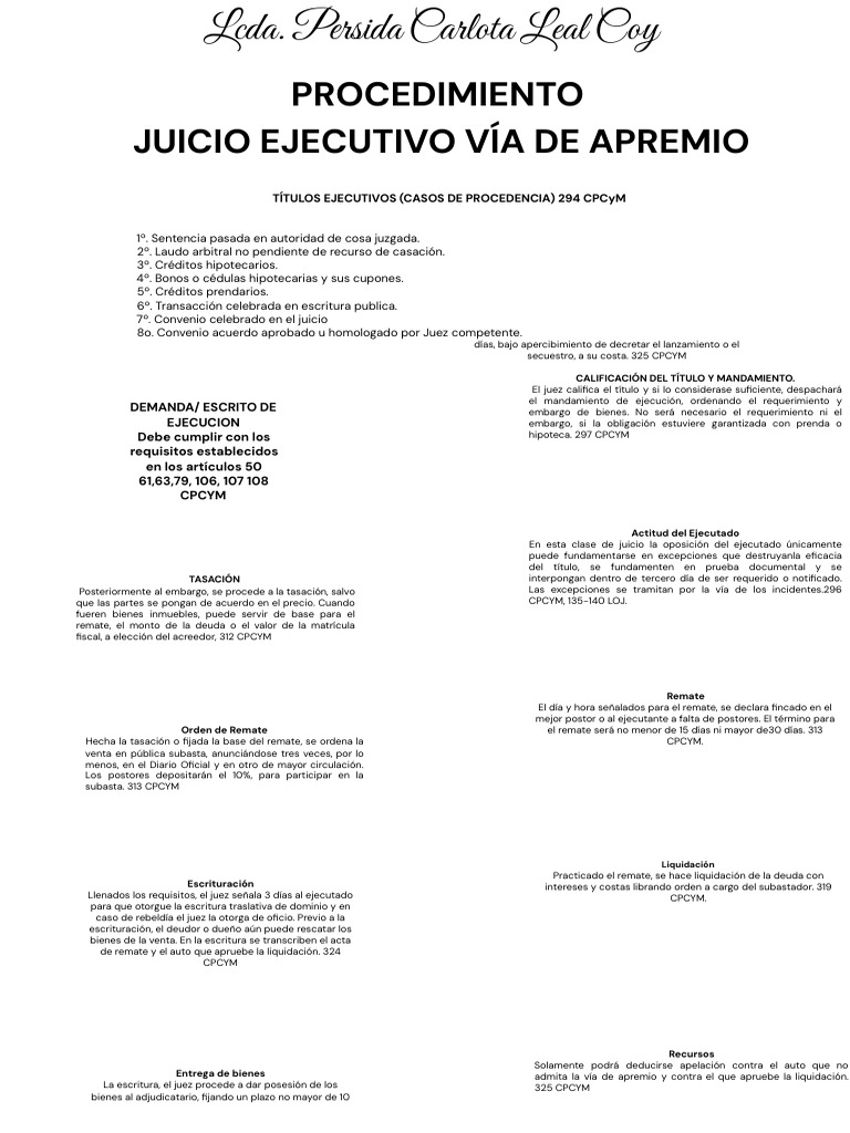 Esquema Ejecutivo Vía de Apremio. | PDF