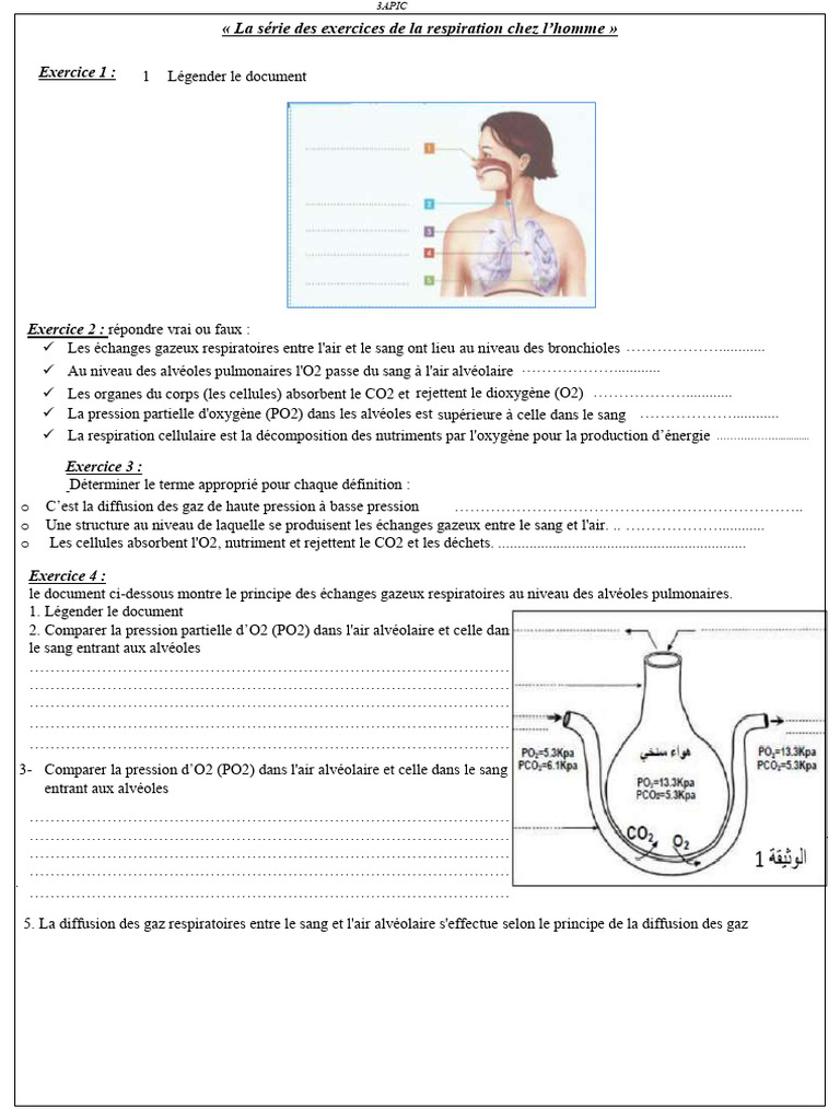 La Série Des Exercices de La Respiration Chez L | PDF | Respiration ...