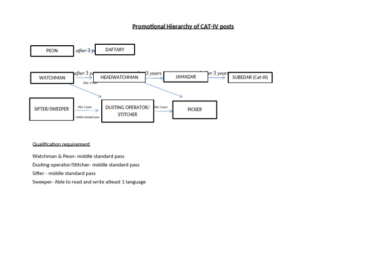 Cat IV | PDF