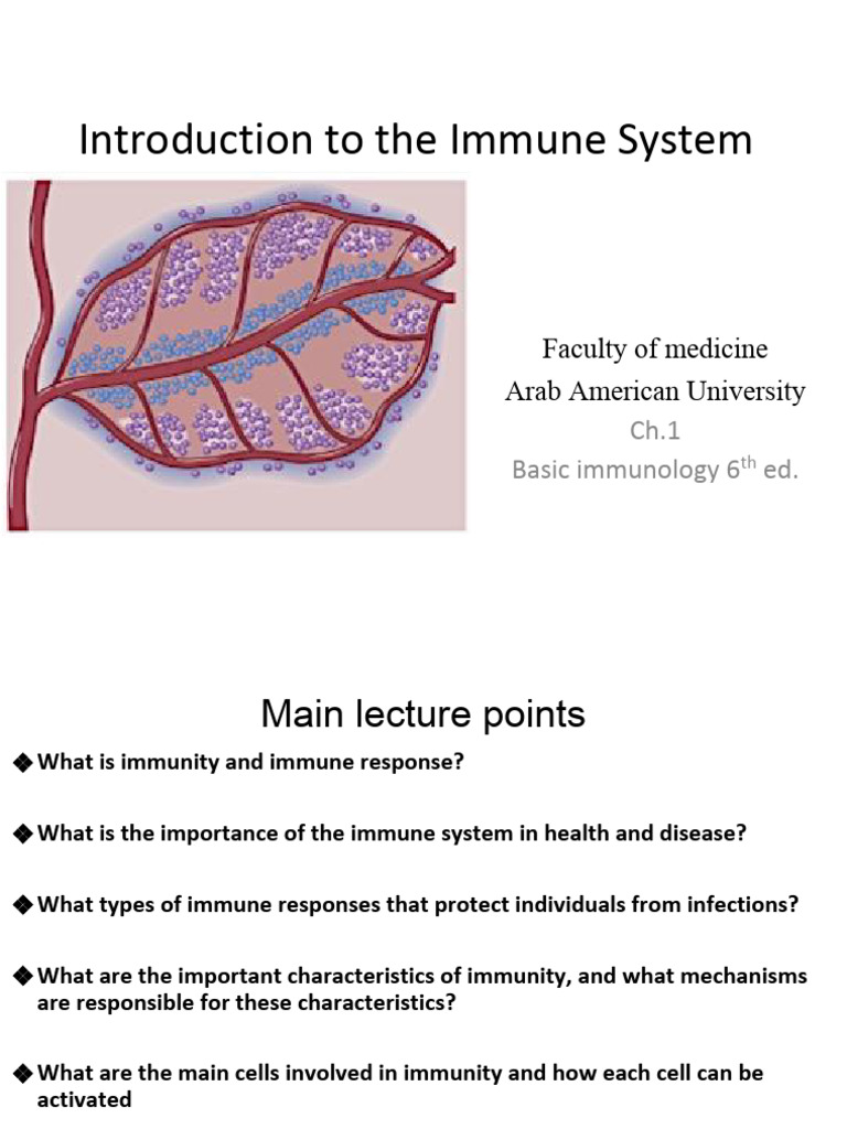 Overview of the Immune System Basics | PDF | Immune System | Adaptive ...