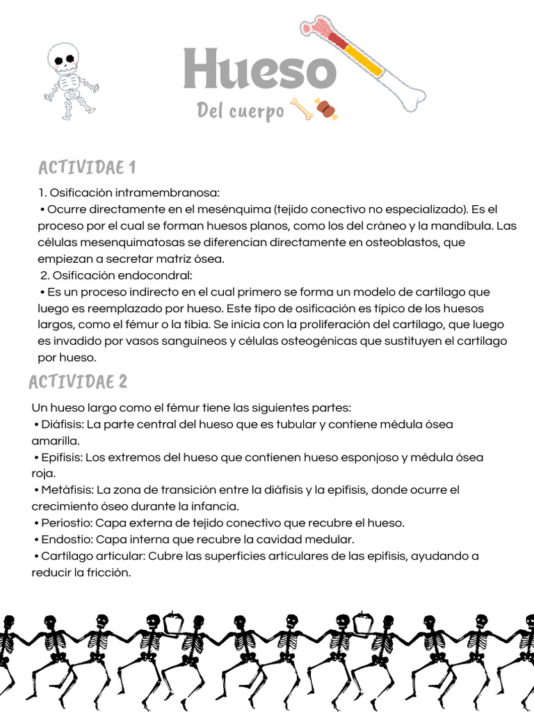 Hueso Pdf Pdf