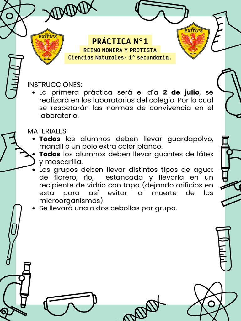 Práctica N°1 Lab. Ciencias Naturales | PDF