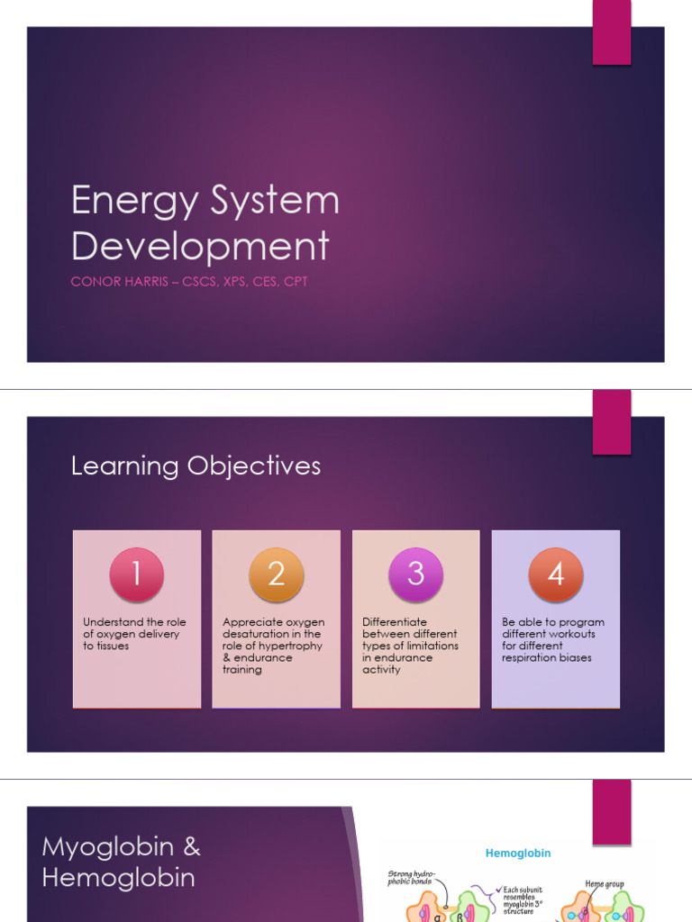 Energy System Development | PDF | Hemoglobin | Blood