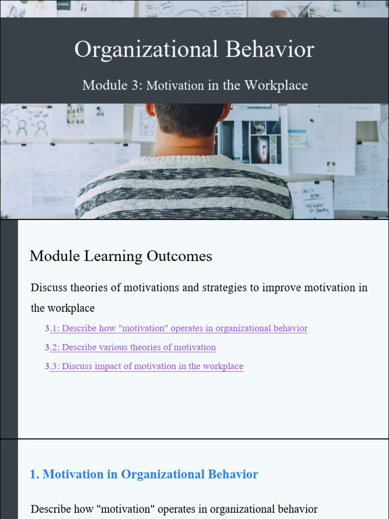 03 - Motivation in The Workplace | PDF | Motivational | Motivation