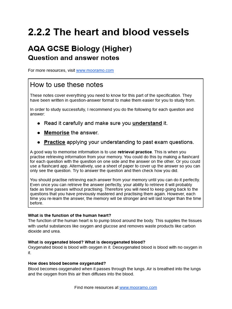 extra notes on heart | PDF | Atrium (Heart) | Artery