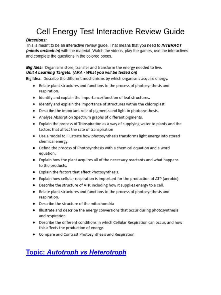 Test Review Interactive - CELL ENERGY | PDF | Cellular Respiration ...
