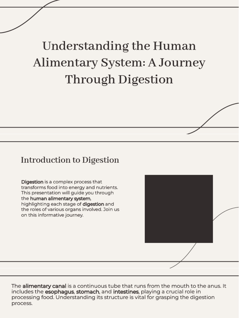 Slidesgo Understanding The Human Alimentary System A Journey Through ...