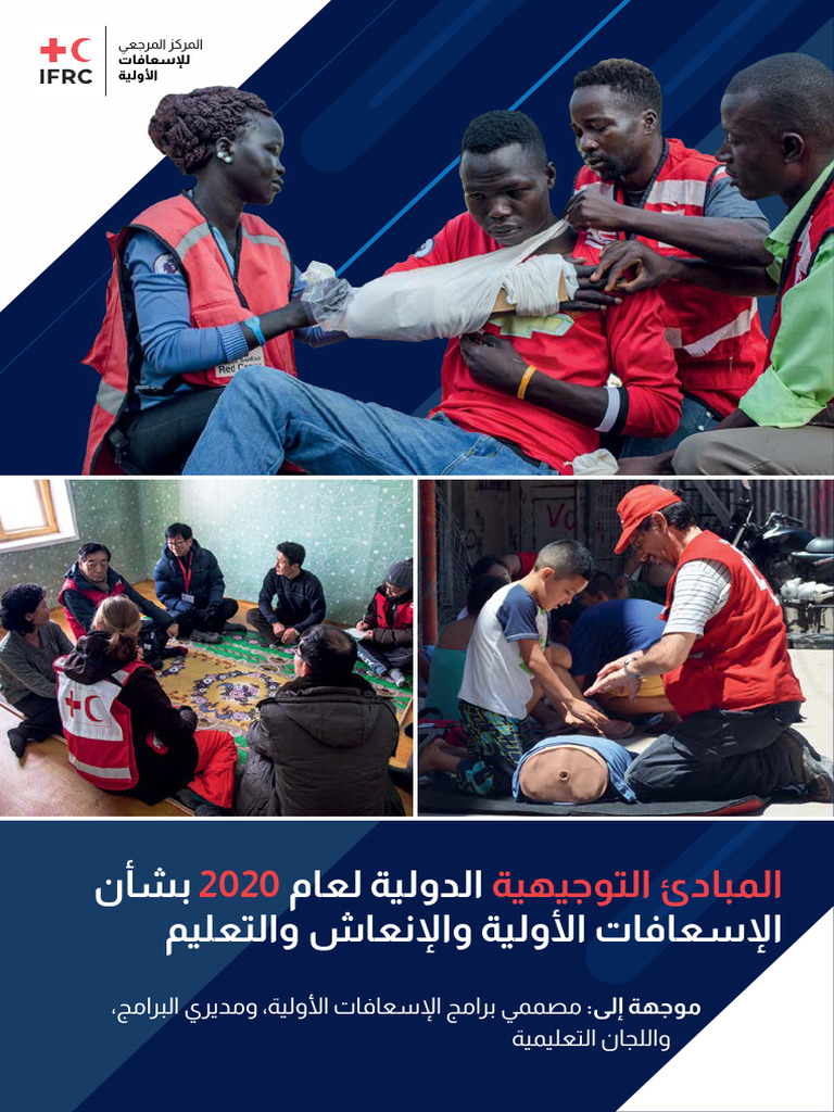 Ifrc Guidelines 2020 Ar.v.4 LR | PDF