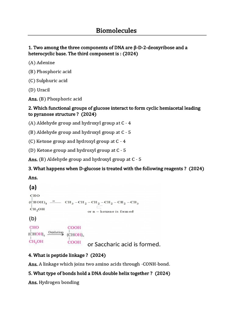 Storage Emulated 0 Android Data Com - Cv.docscanner Cache Selfstudys Com File | PDF