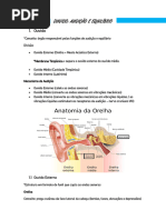Anatomia da Orelha: Estruturas e Funções | PDF | Orelha | Audição