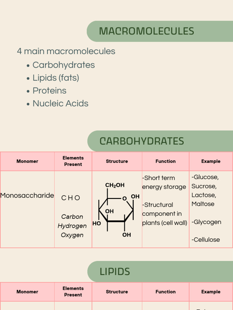 Macromolecules Pdf Macromolecules Carbohydrates