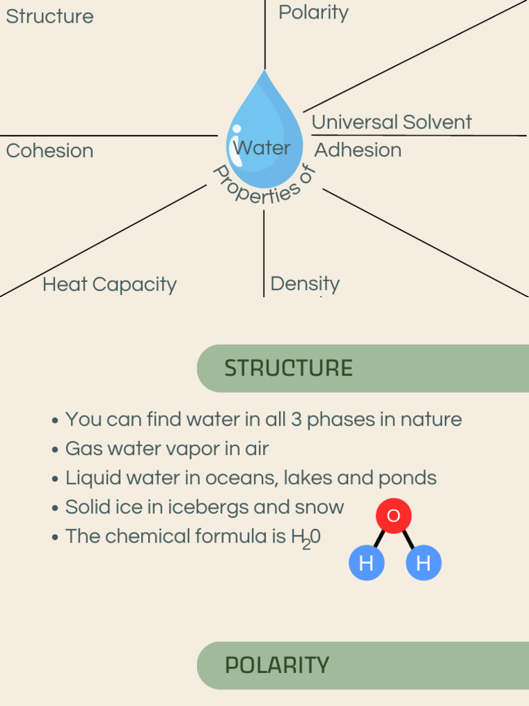Properties of Water | PDF