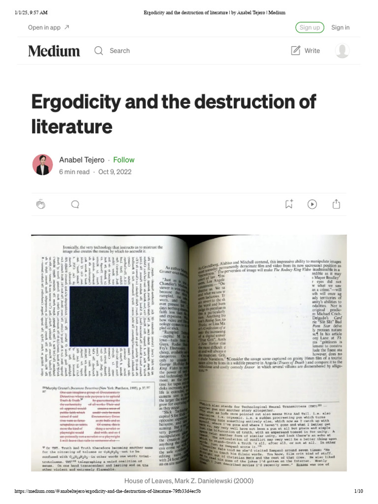 Ergodicity's Impact on Literature | PDF