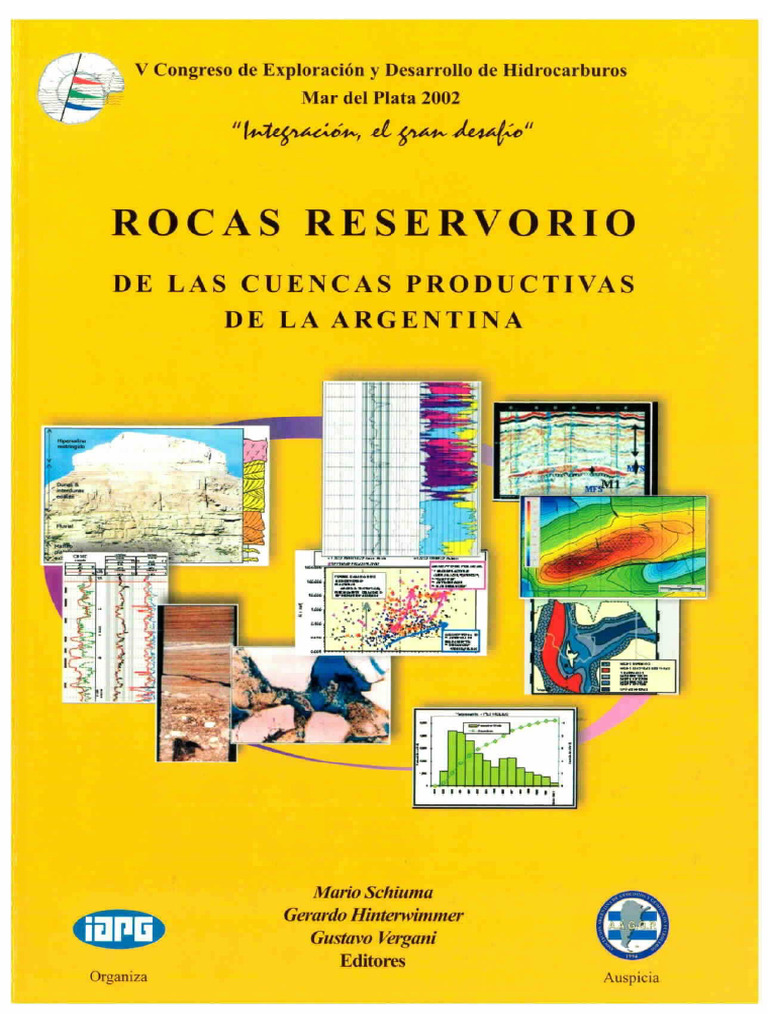 Rocas Reservorios - Austral | PDF